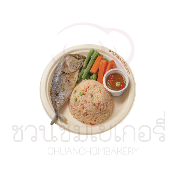 Gracz Simple จานชานอ้อย 9 นิ้ว รุ่น P013 รหัส 8857118176583 - ชวนชม ...